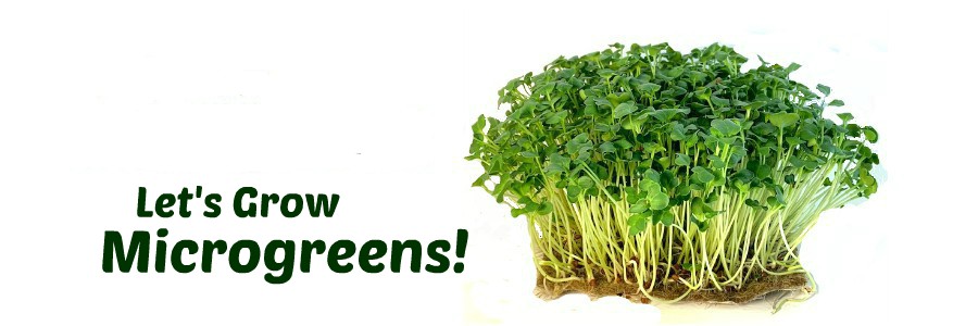 The Hydroponics Store