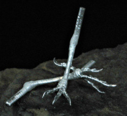 Blue Jay - cast feet - Jaymes Company