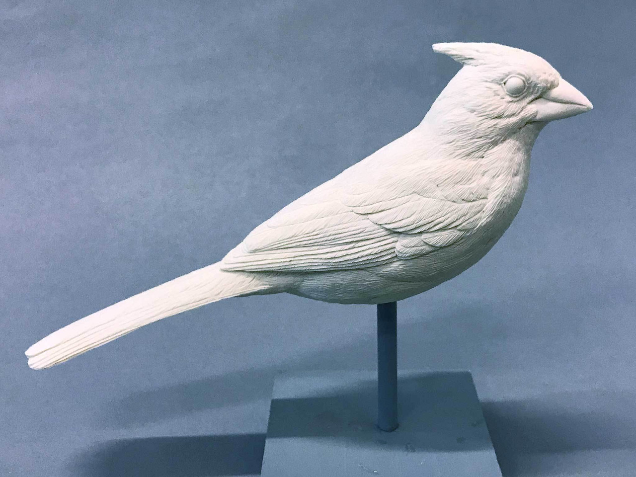 guge - Study Cast Cardinal - summer (life size) - Jaymes Company guge - Study Cast Cardinal - summer (life size) - Jaymes Company