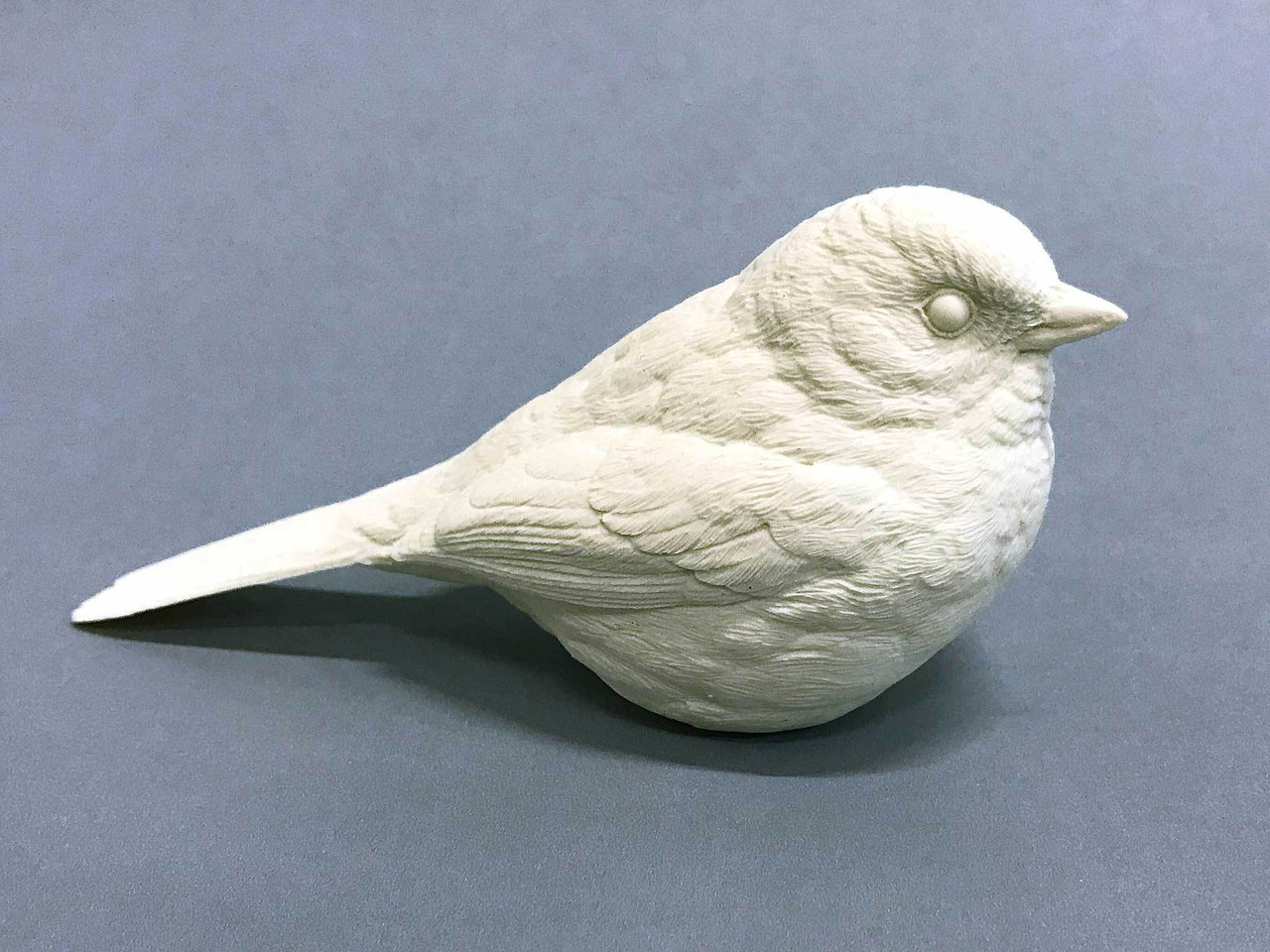 Guge - Study Cast Sparrow, White-throated (life size) - Jaymes Company
