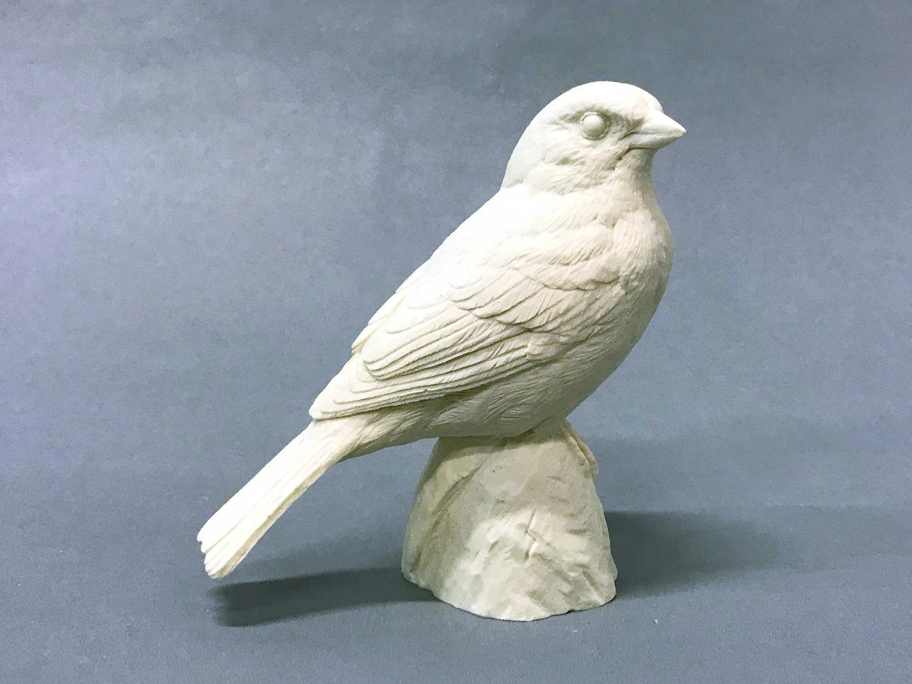 Guge - Study Cast Sparrow, Eurasian Tree (life size)