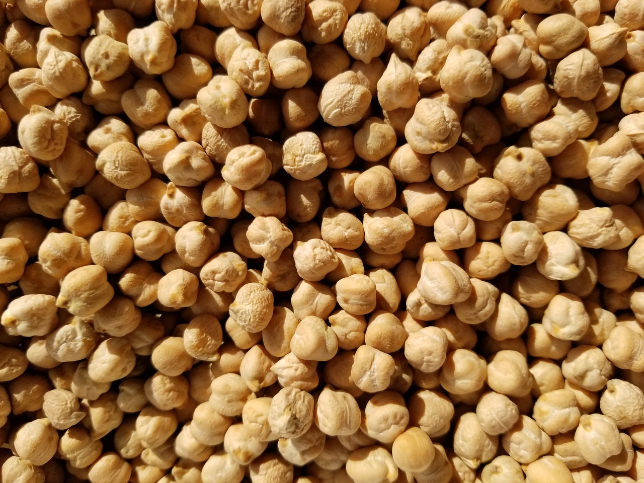 High-Fiber Healthy Dry Garbanzo Beans