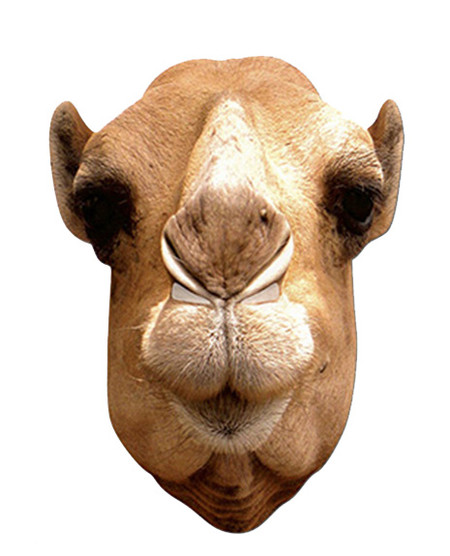 Camel Animal Card Party Face Mask. In Stock Now with Free UK Delivery ...