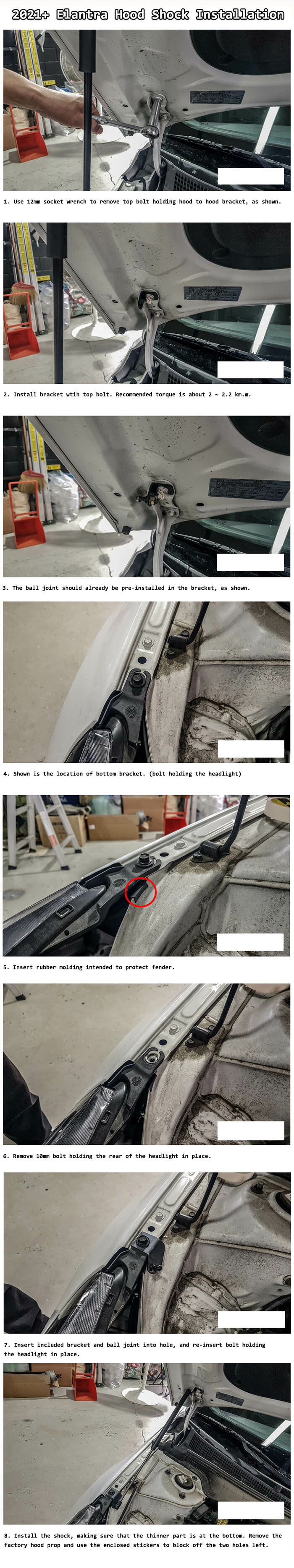 2021+ Elantra Bolt-on Hood Shock Kit - Shark Racing