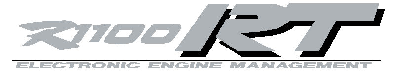 BMW R 1100RT LOWER SIDE DECAL STICKER 205mm - Collideascope