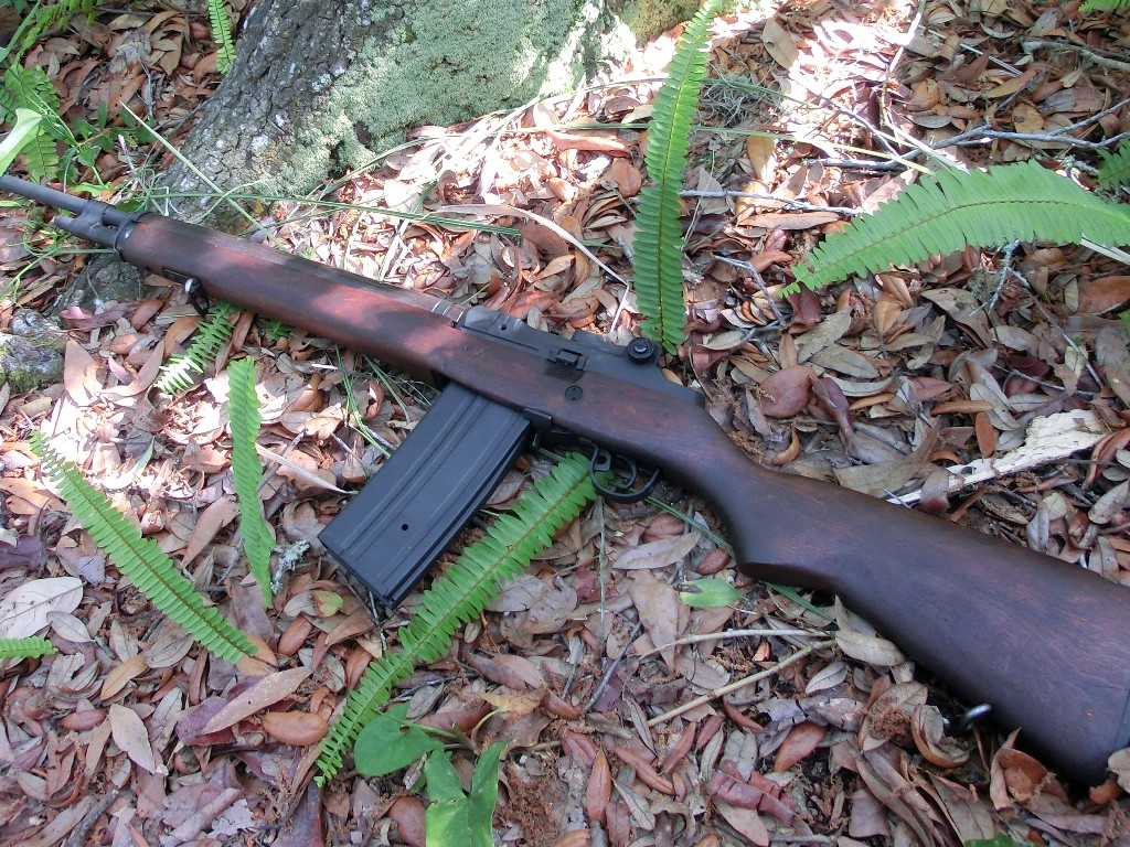 40rd M1A/M14 Magazines > M1 / M14 / M1 Carbine > AR15.COM