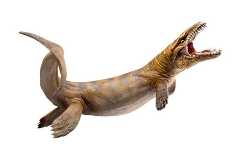 Dakosaurus by PNSO - Dan's Dinosaurs