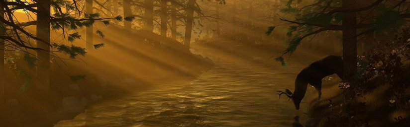 Home - Prophet River Firearms