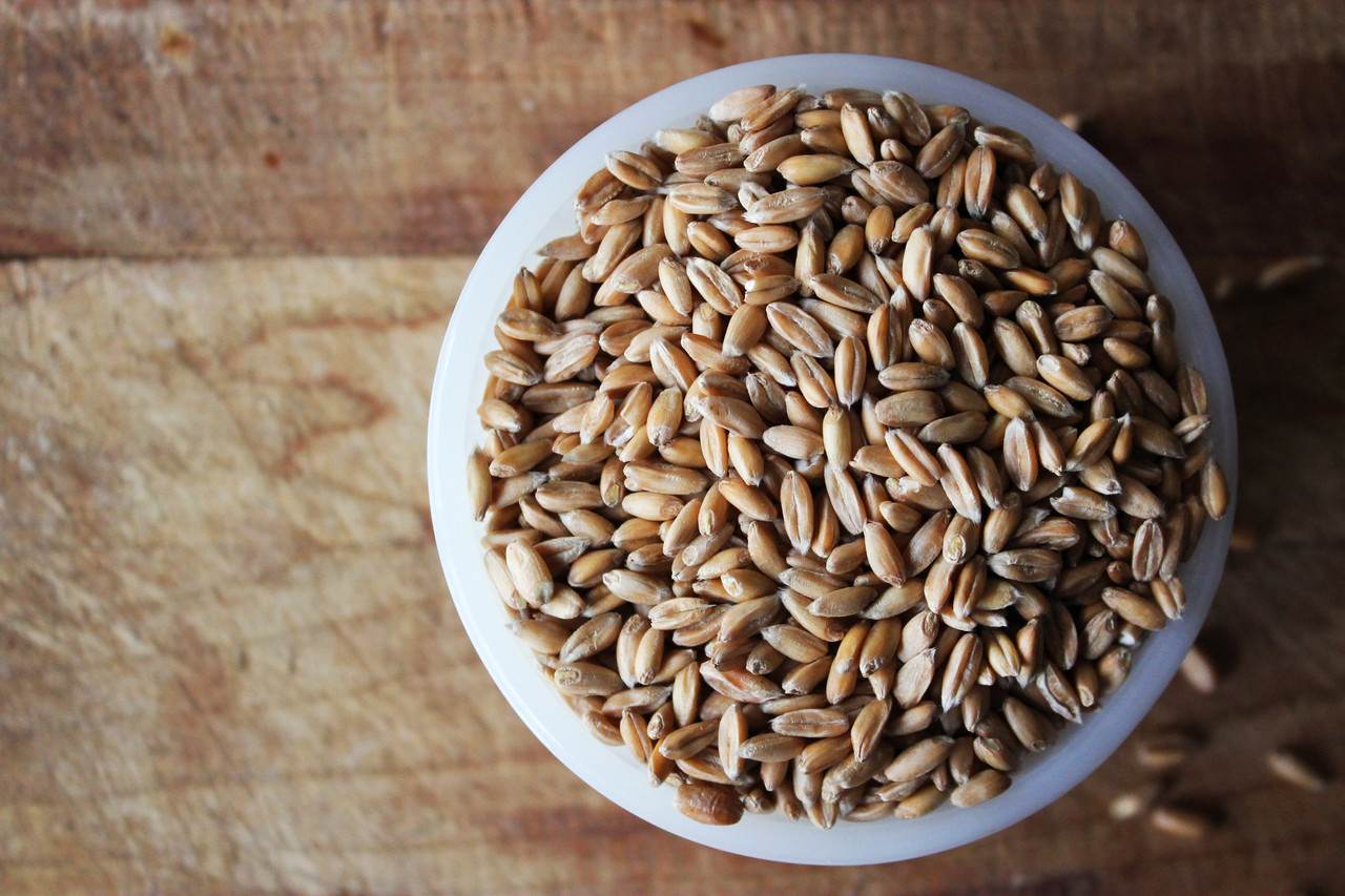 Spelt Grain
