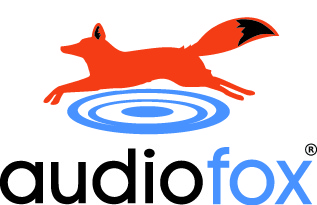 Choosing the Right Wireless TV Speaker - Audio Fox