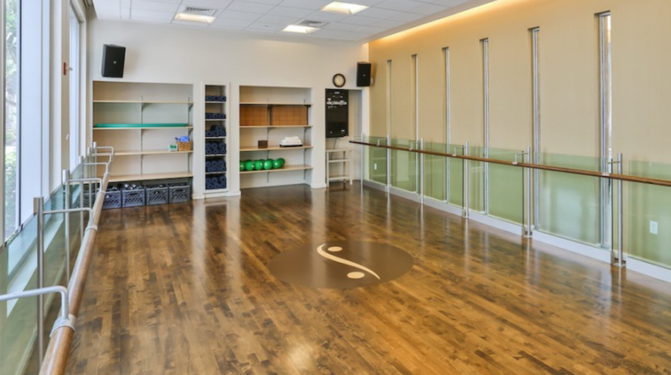 Ballet Barre, Portable Ballet Barre, Dance Bar, Fitness Bar