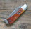 Chris Sharp Custom Slip Joint Knife Amber Bone l 3" Damascus Blade