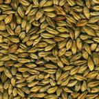 Dingeman's Belgian Aromatic Malt | Niagara Tradition