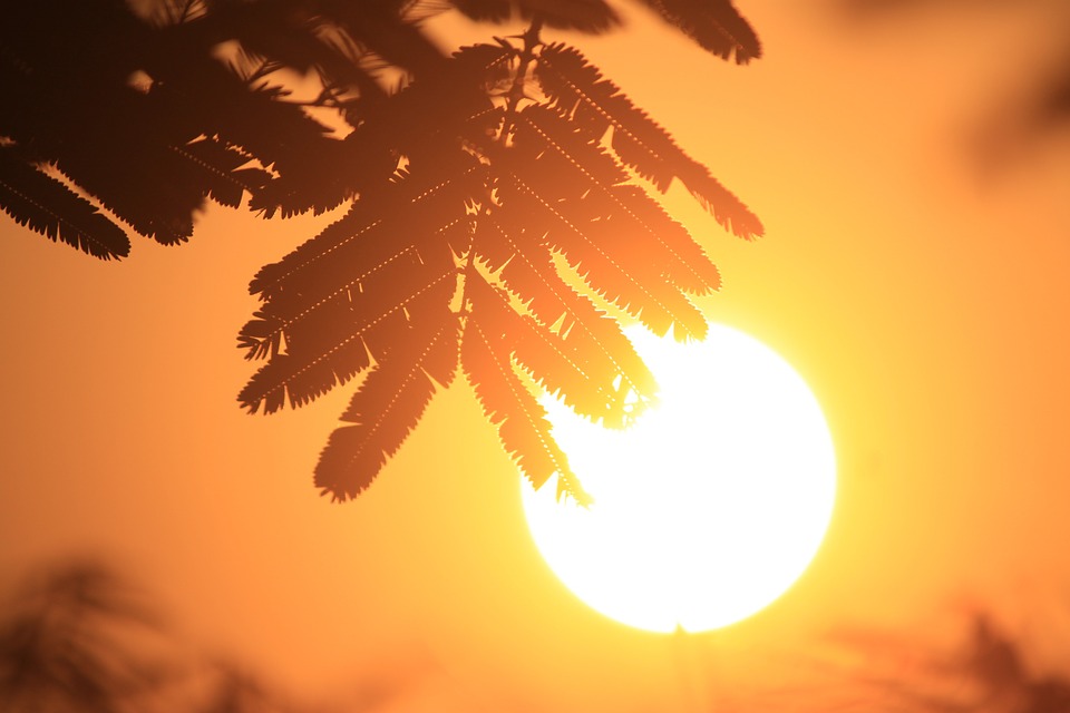Examining the LA Heatwave - AC-World