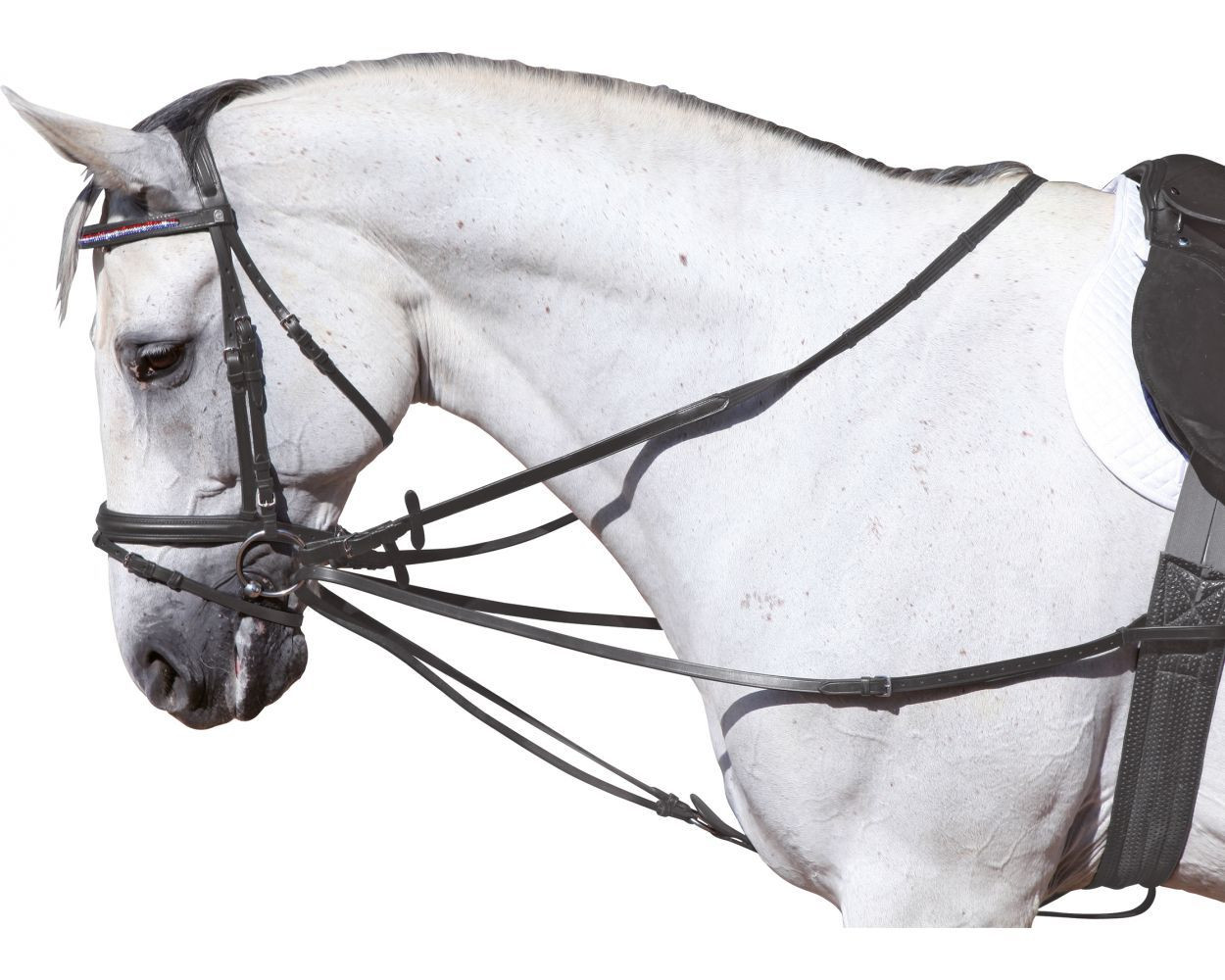 Vienna Reins - The City Barn Store