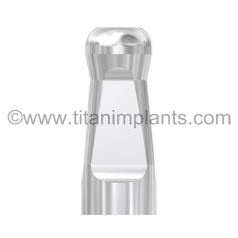 Straumann Dental Compatible Restorative Components