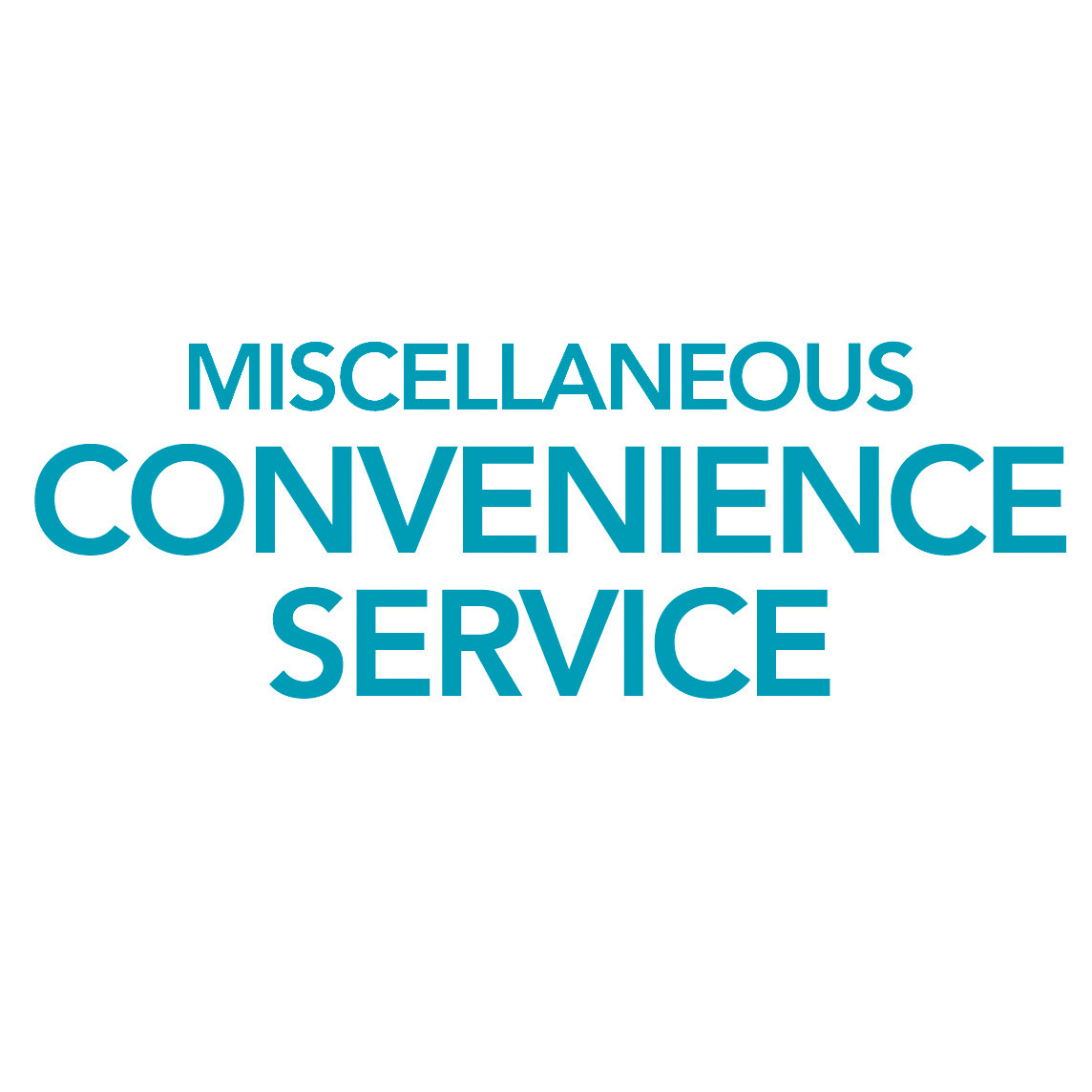 Miscellaneous Convenience Service - Registered Agents of Wyoming, LLC