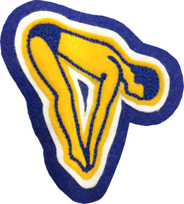 Pike Diver - Phoenix Lettering