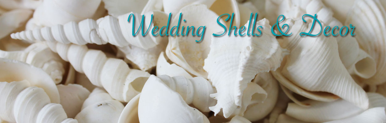 Seashells, Starfish, Beach, Coastal & Nautical Decor For Sale ...