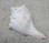 Atlantic Whelk Seashell - Medium to Large Shells - California Seashell ...