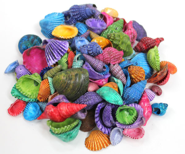 Colored Seashells Mix - Bulk Craft Shells - California Seashell Company