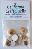 Craft Shell Bags - Craft Sand - Crafting Supplies - DIY Seashell Decor ...