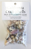 Craft Shell Bags - Craft Sand - Crafting Supplies - DIY Seashell Decor ...
