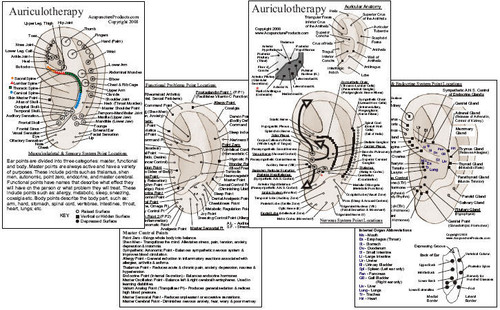 Auriculotherapy Ear Acupuncture Cards - Clinical Charts and Supplies