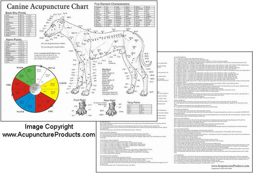 Dog Acupuncture Chart - Clinical Charts and Supplies