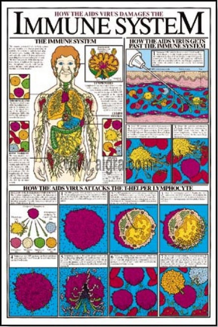 Immune System Poster - Clinical Charts and Supplies