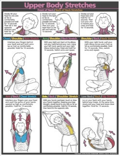 Exercise, Nutrition and Sports-Exercise