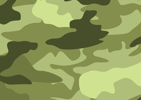 Camo Pattern - Wacky World Studios - Do-It-Yourself Store