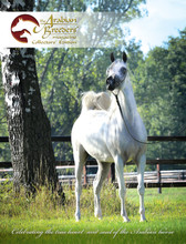 The Arabian Breeders' Magazine - Volume VI Collectors' Edition - The ...