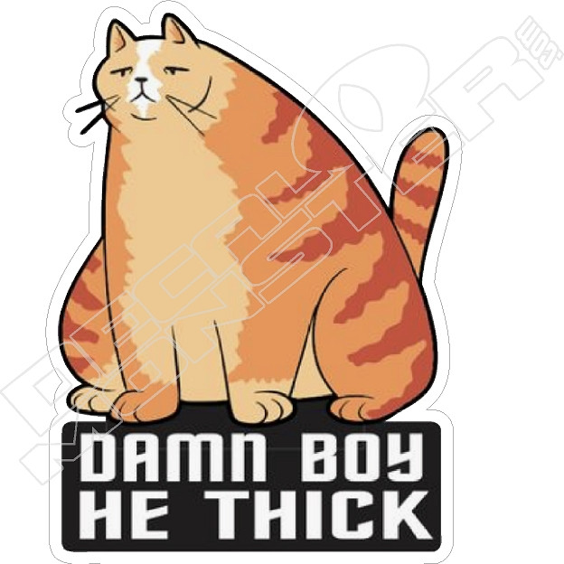 Damn Boy He Thick Decal Sticker - DecalMonster.com