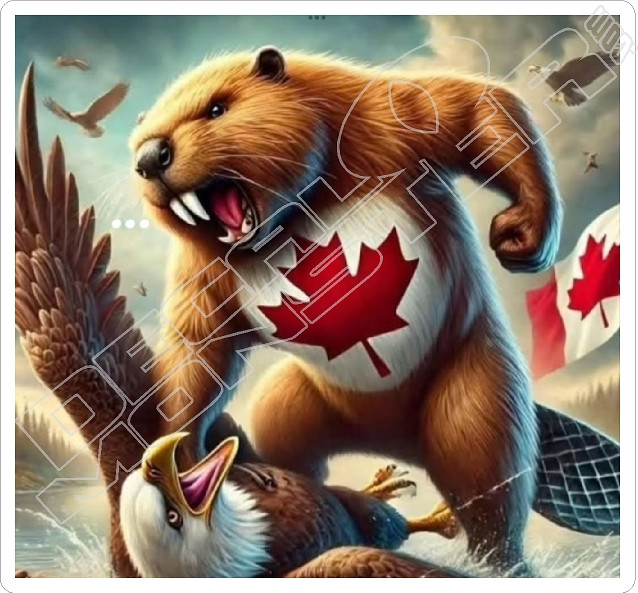 Canada Beaver Beating Up Eagle Decal Sticker - DecalMonster.com
