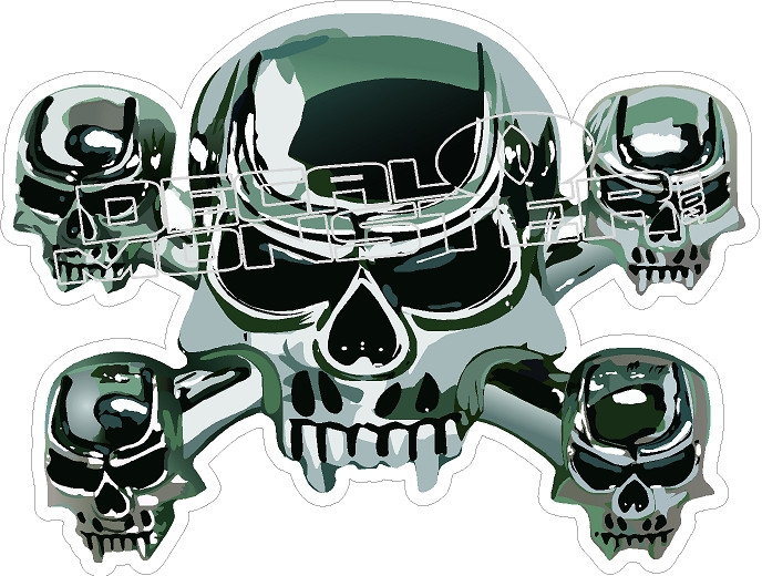 Chrome Skull and Crossbones Decal Sticker - DecalMonster.com
