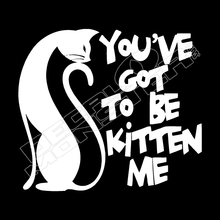 You've got to be kitten me Cat Decal Sticker - DecalMonster.com