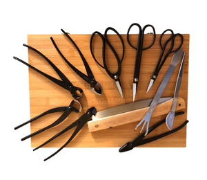 Bonsai Tree | Bamboo Plants | Indoor, Outdoor | Pots and Tools