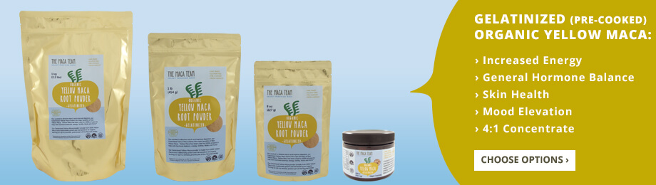 Certified Organic Gelatinized Maca Root Powder | The Maca Team