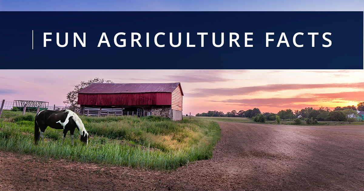 Fun Agriculture Facts - Flex Technologies Incorporated