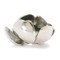 Authentic Trollbeads | Silver Charms | Shadow Flower | Free Shipping