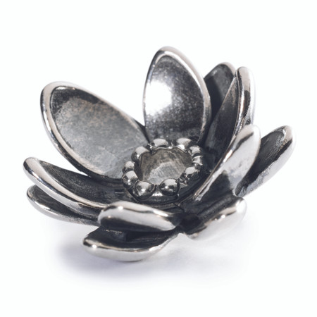 Trollbeads Latest editions!! – Nadia's Love