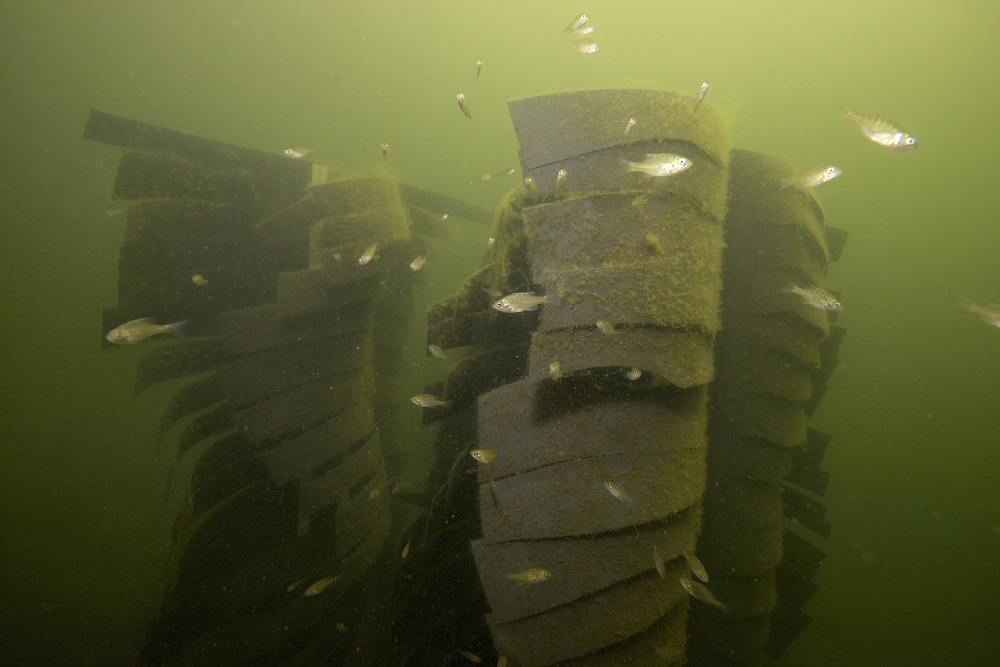 Fishiding artificial fish habitat structures