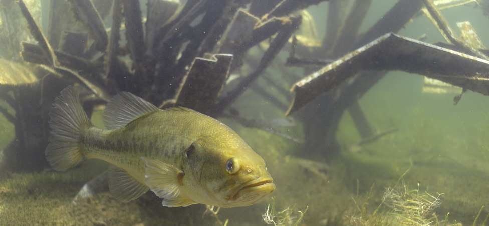 Fishiding artificial fish habitat structures