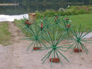 Artificial fish habitat or fish attractors, which do the fish need and ...