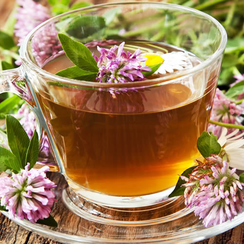 Red Clover Tea Fragrance Oil | Buy Wholesale From Bulk Apothecary