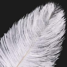 Ostrich Feathers for Centerpieces in Bulk EventsWholesale Lowest Prices
