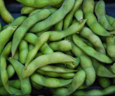 Edamame Seeds