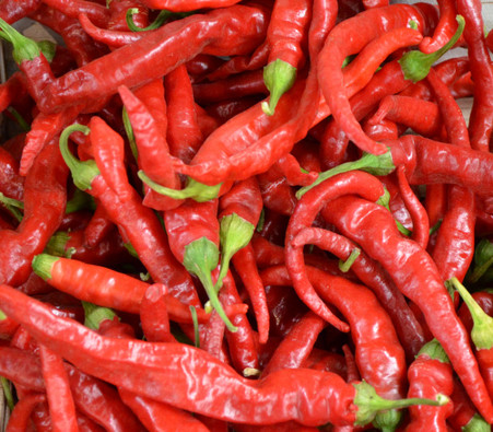 Tien Tsin Pepper Seeds