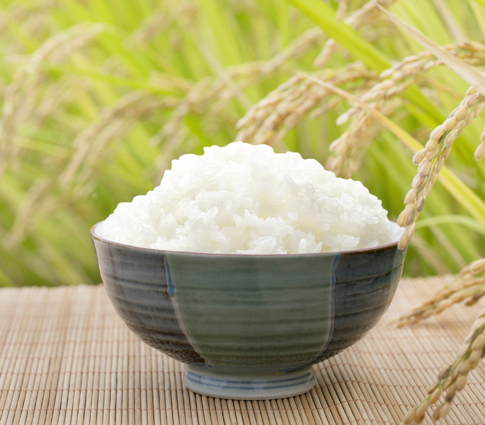 Rice, Koshihikari Seeds